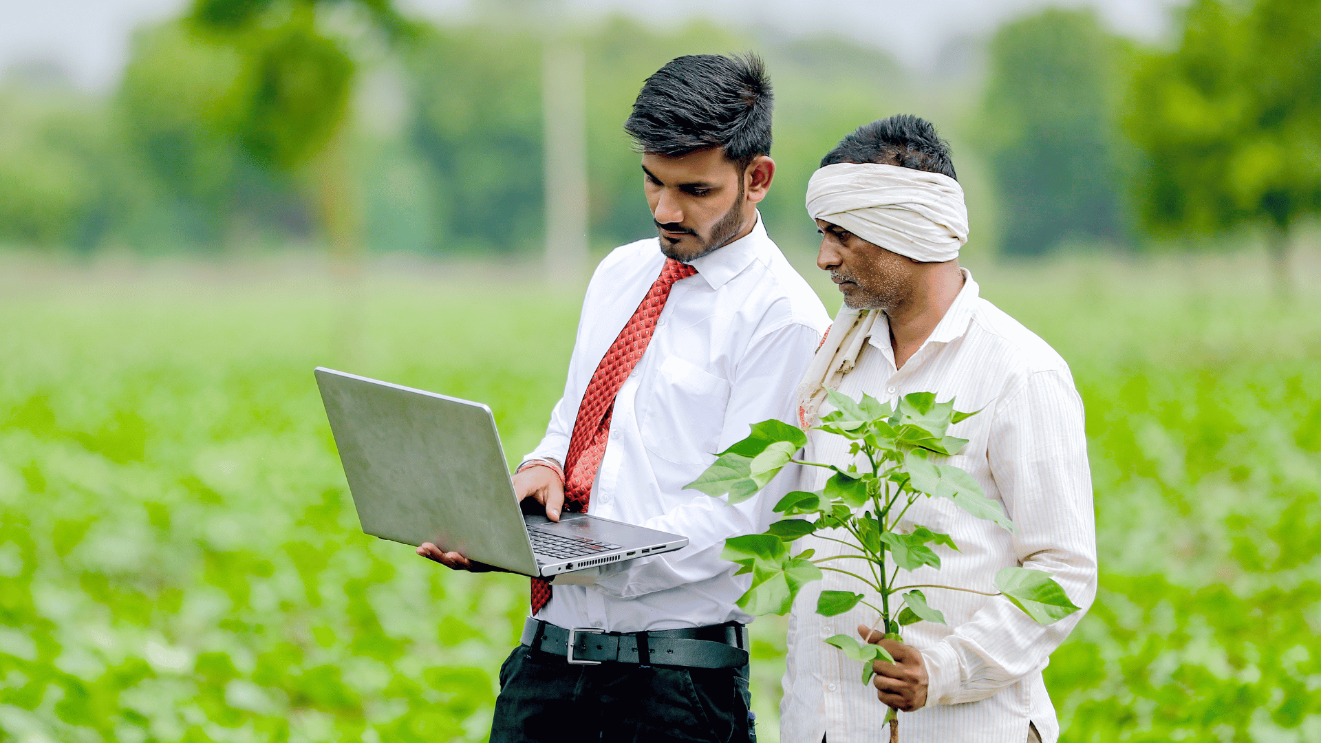 Home - Farming First