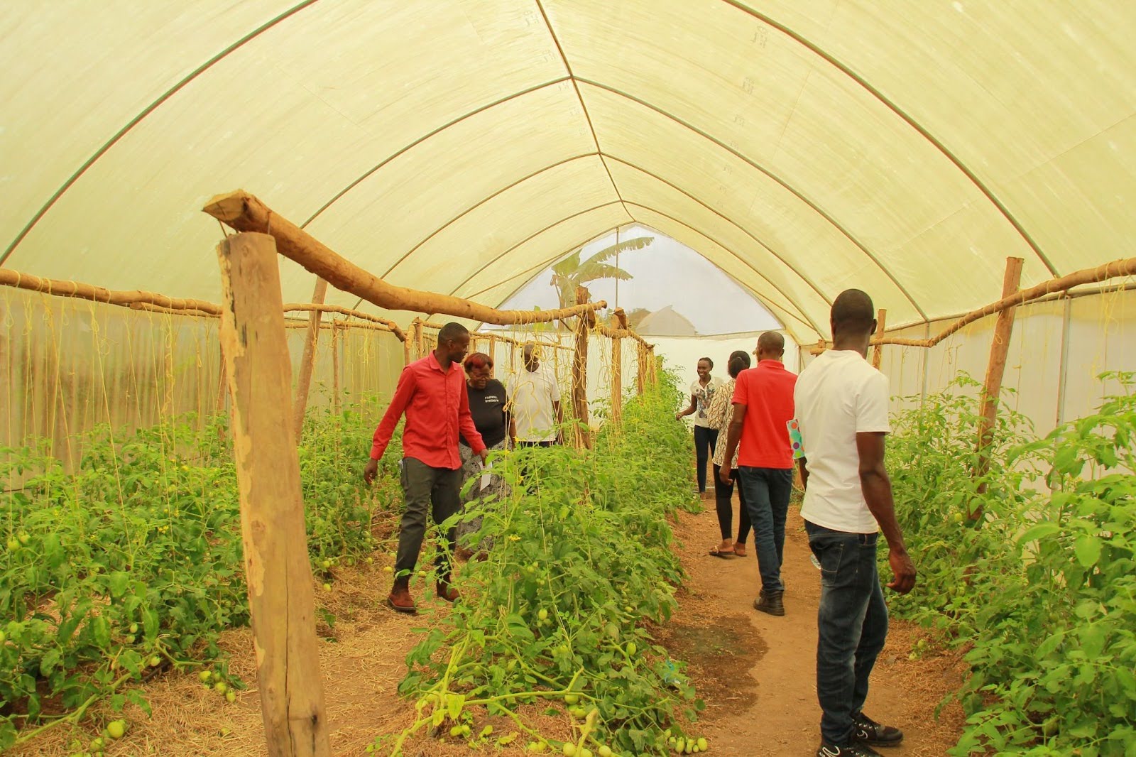 Inclusive Finance Can Unlock Opportunities For Youth in Agriculture ...